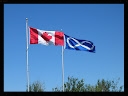 The Metis Flag
