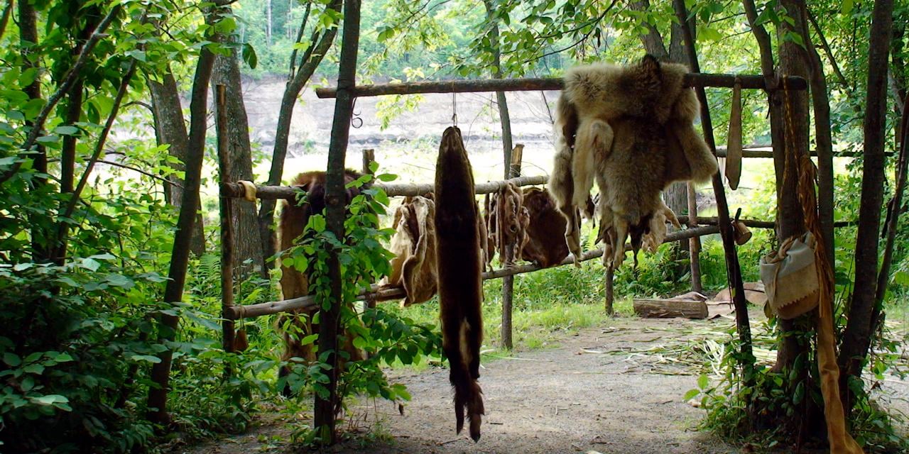 Working Effectively with Indigenous Peoples® Blog | Traditional Knowledge