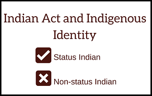 What is Indigenous Identity?