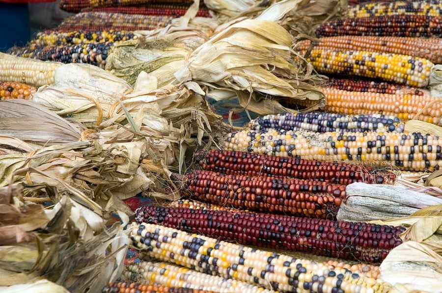 Reconciling Thanksgiving