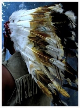 First Nation Cultural Images - Iconic or stereotyping?